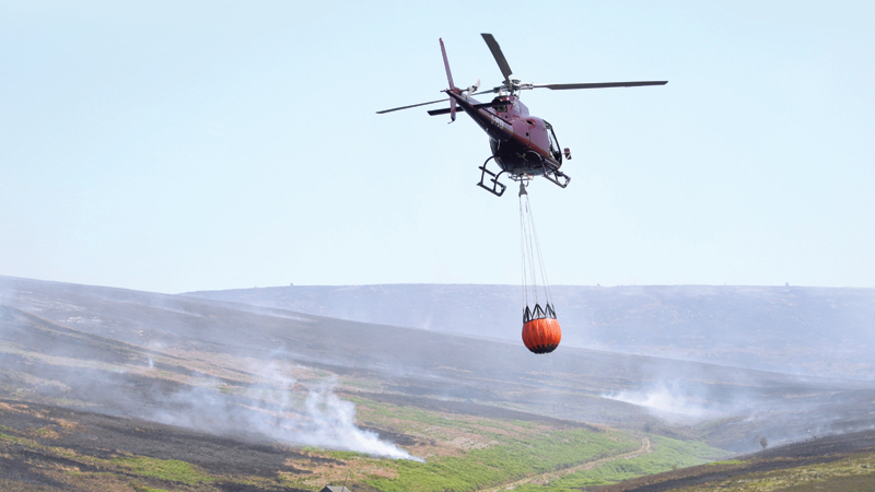 Soldiers deployed to help fight wildfire in England - Oman Observer