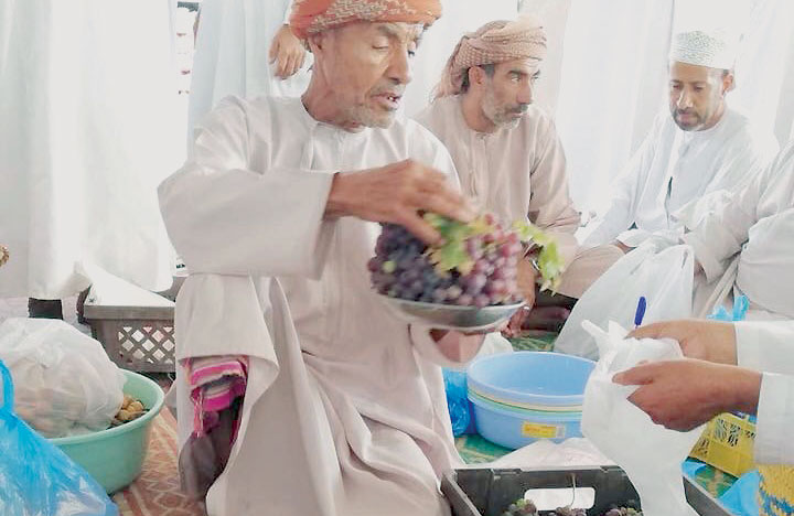 HARVESTING JUICY GRAPES - Oman Observer