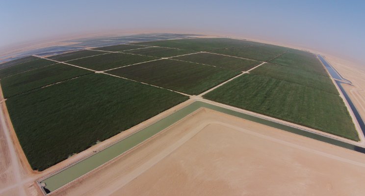Oilfield produced water output to exceed 1m m3/day from 2019: PDO ...