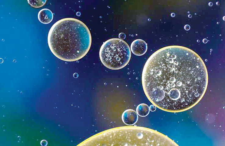 Scientists take a step to artificial embryos - Oman Observer