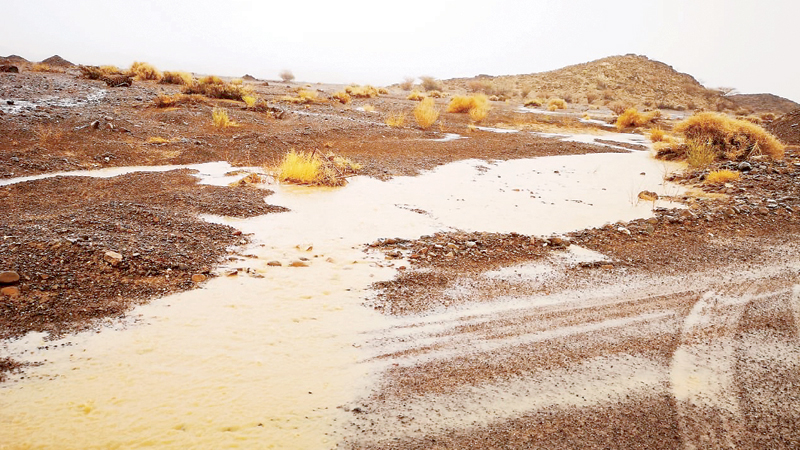 Wadis overflow as moderate to heavy rains hit wilayats - Oman Observer