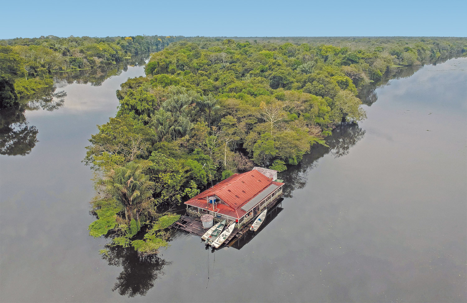 The art of living and thriving in the Amazon river - Oman Observer