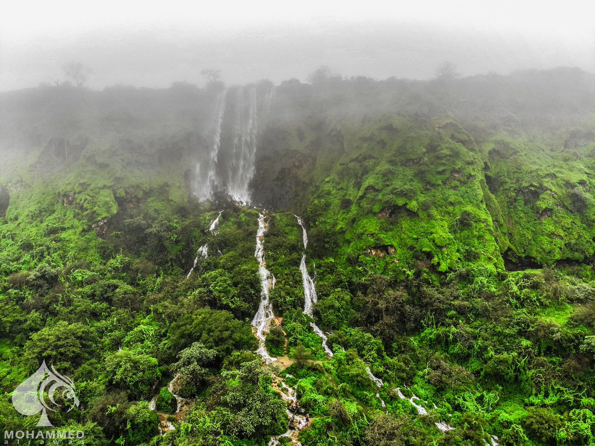Above 586K tourists visit Salalah during 7th week of Khareef - Oman ...