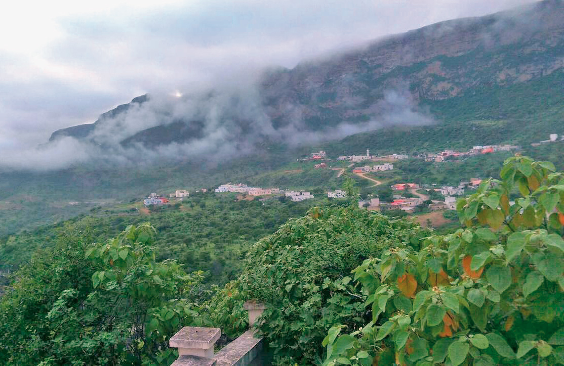 Deem, a jewel in the mist - Oman Observer