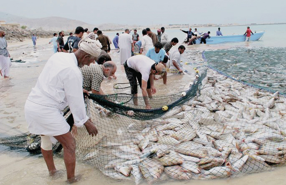 Boost to fishing sector - Oman Observer
