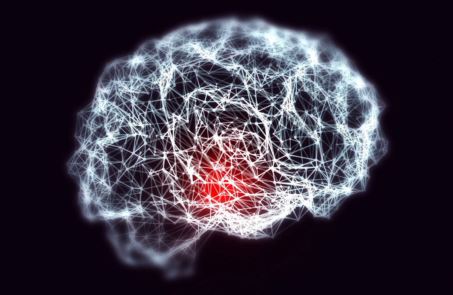 Scientists create ‘most detailed’ map of brain’s memory bank - Oman ...
