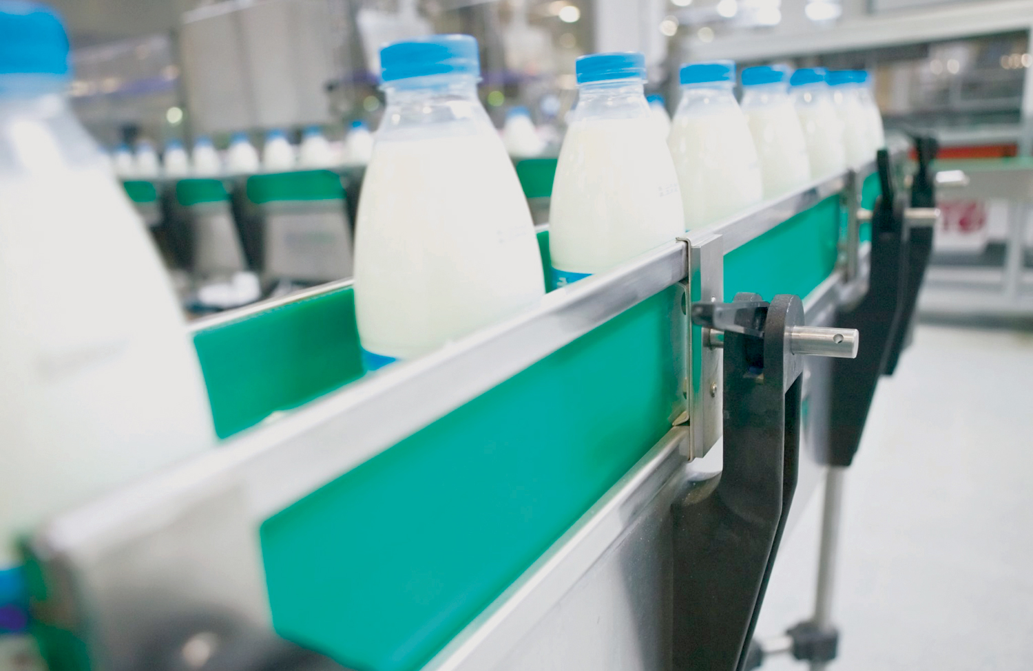Mazoon Dairy to commence production in early 2019 - Oman Observer
