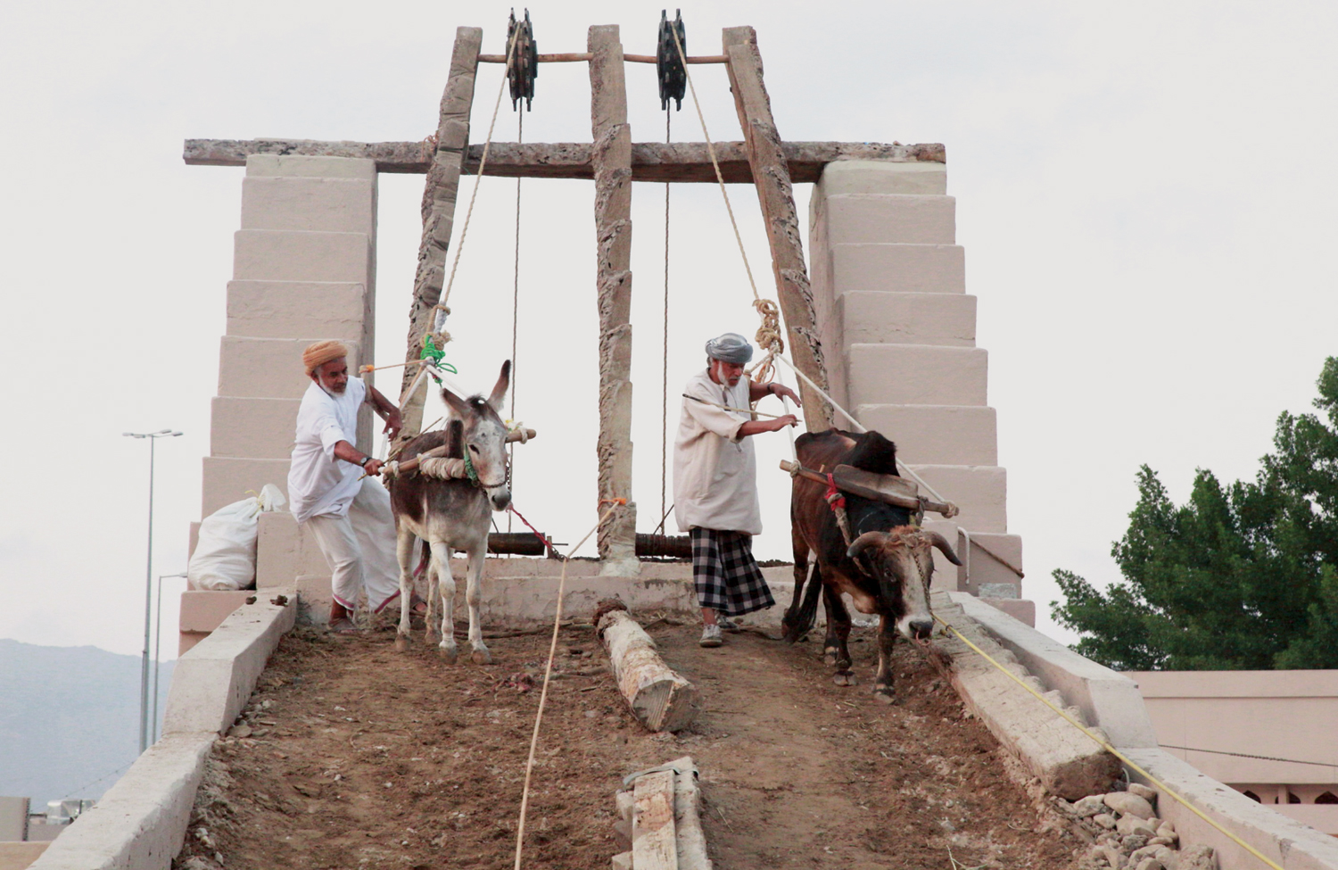 Muscat Festival weaves spell of magic - Oman Observer