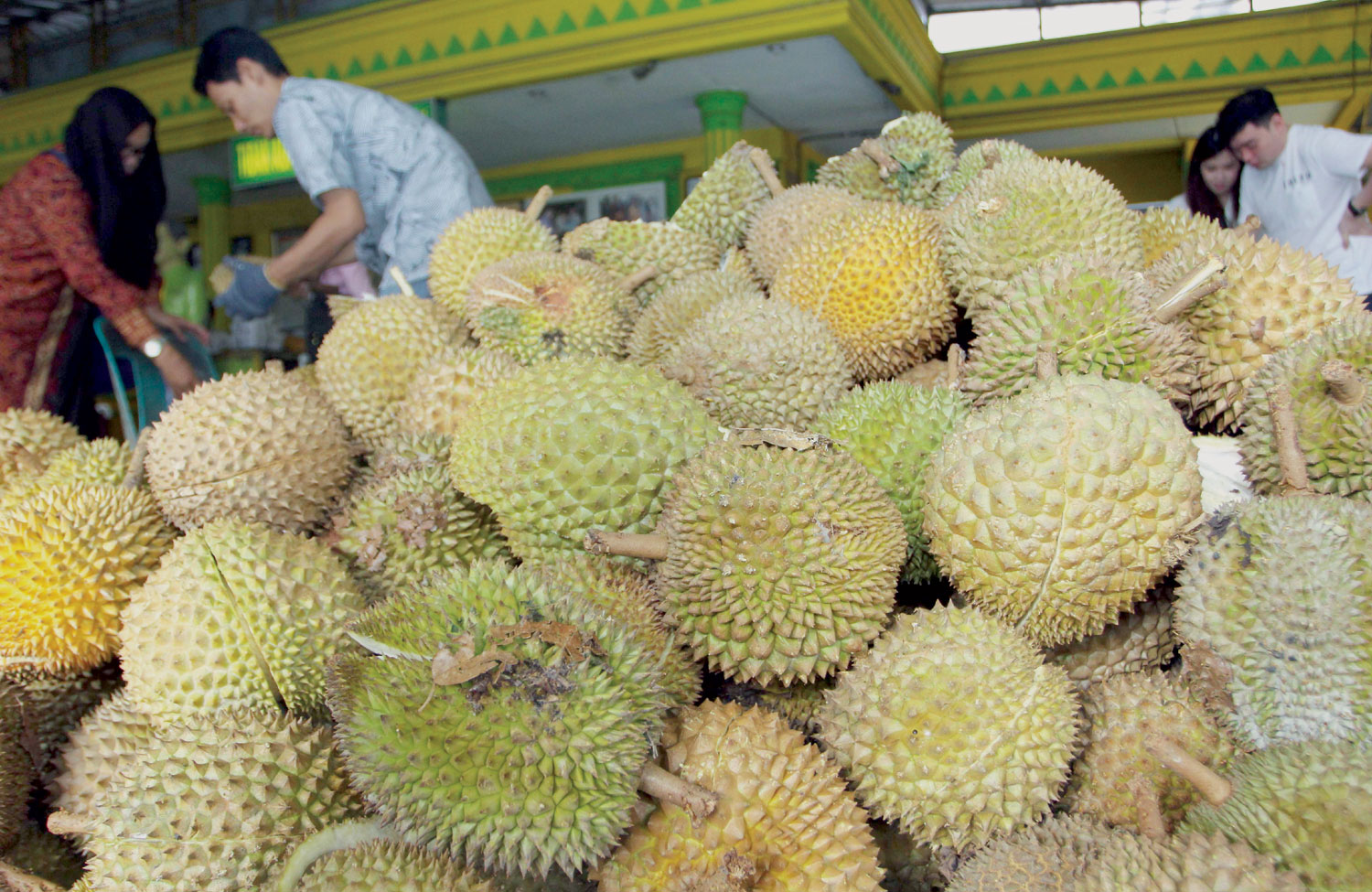 Indonesian durians fetch $1,000 apiece - Oman Observer