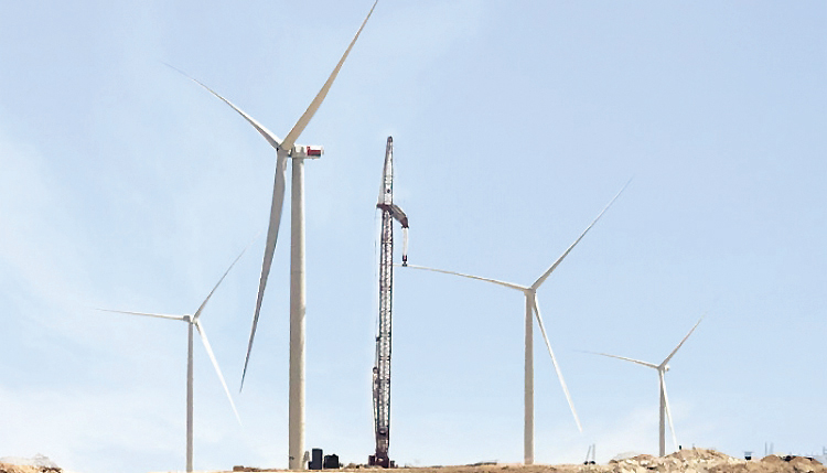 Wind farm to meet 7pc of Dhofar power demand - Oman Observer