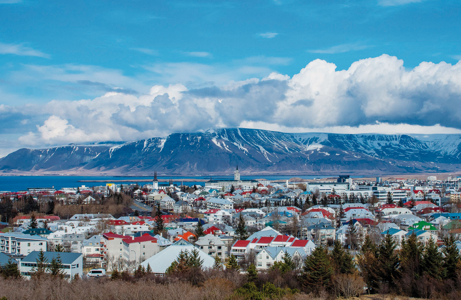 Thorrablot dinners, Iceland’s answer to long dark winters - Oman Observer