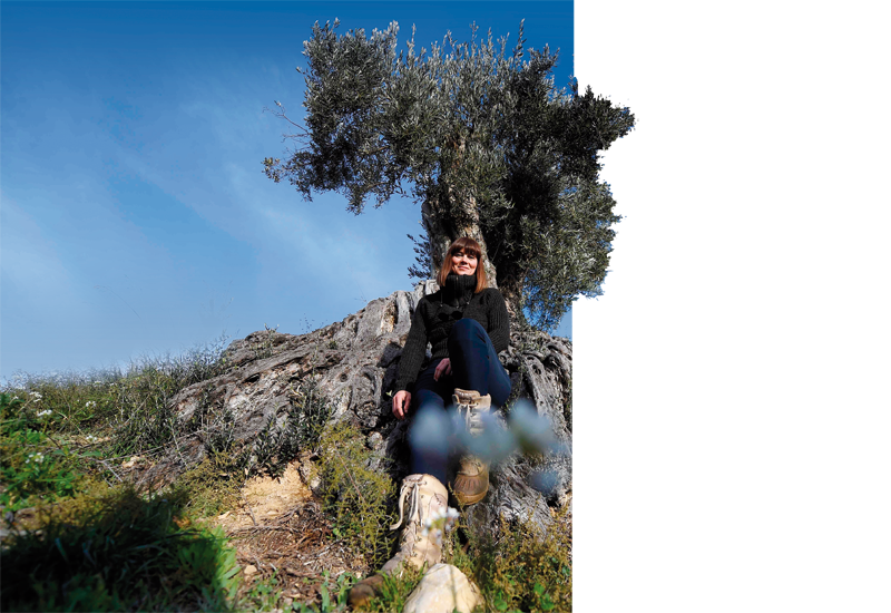 Adopt an olive tree — and breathe new life into Spanish village - Oman ...