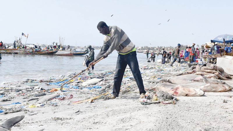 Humans consume plastic pieces at alarming rate - Oman Observer