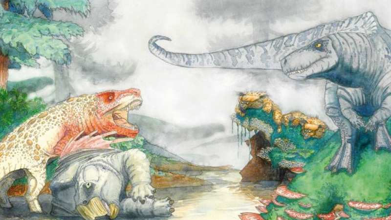 Artist-scientist breathes new life into ancient fossils - Oman Observer