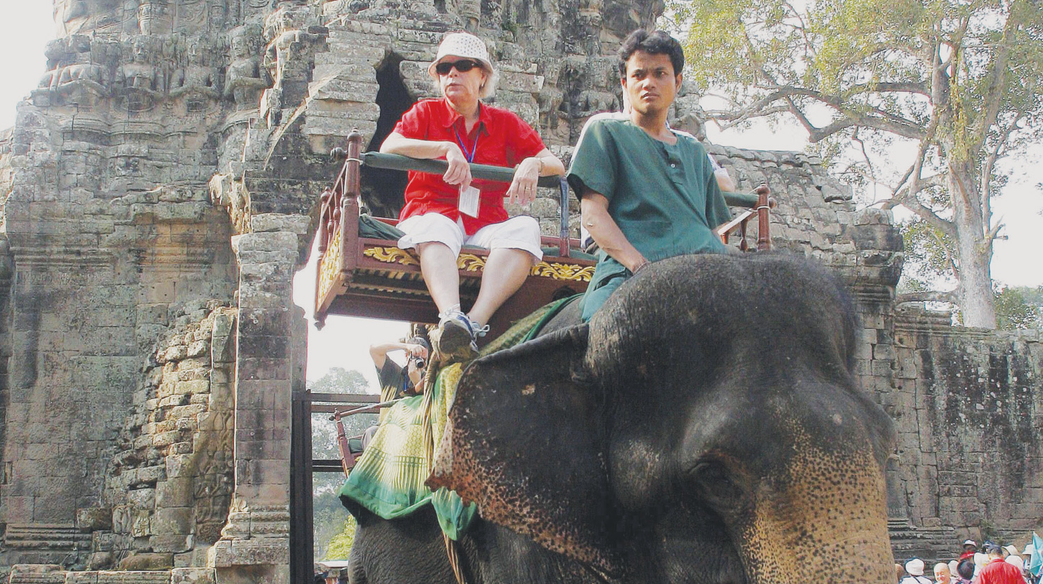 Cambodia to ban elephant rides at Angkor temples - Oman Observer