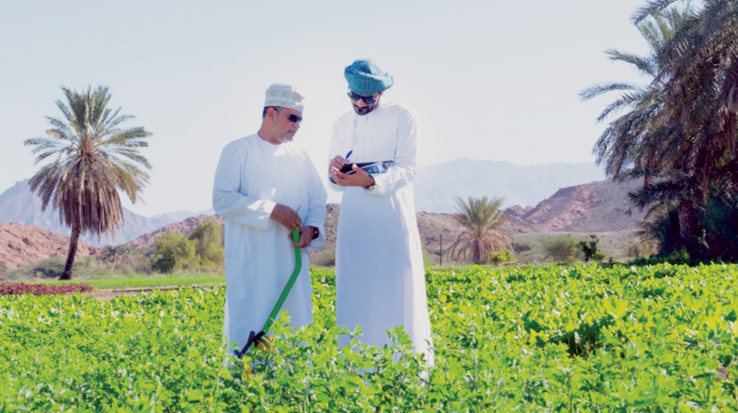 Agricultural survey kicks off - Oman Observer