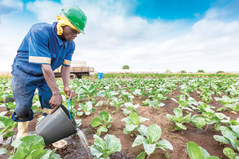 Satellite data brings farming advice to remote areas of Zimbabwe - Oman ...