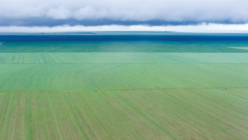 Amazon railroad plan unites unlikely allies - Oman Observer