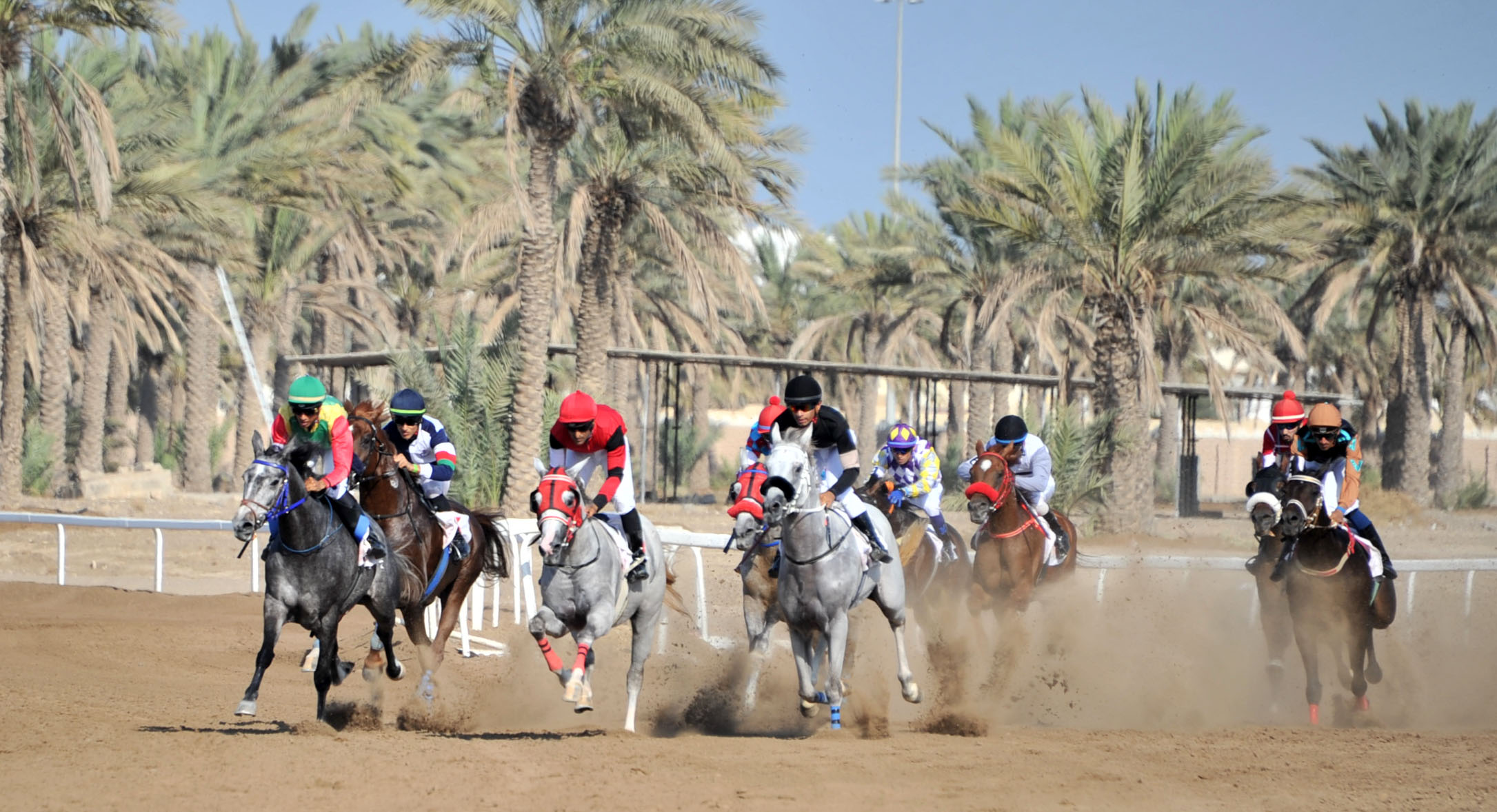 RHRC to organize 4th horse race on Thursday - Oman Observer