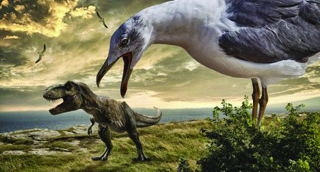 Dinosaur-era bird with scythe-like beak sheds light on avian diversity ...