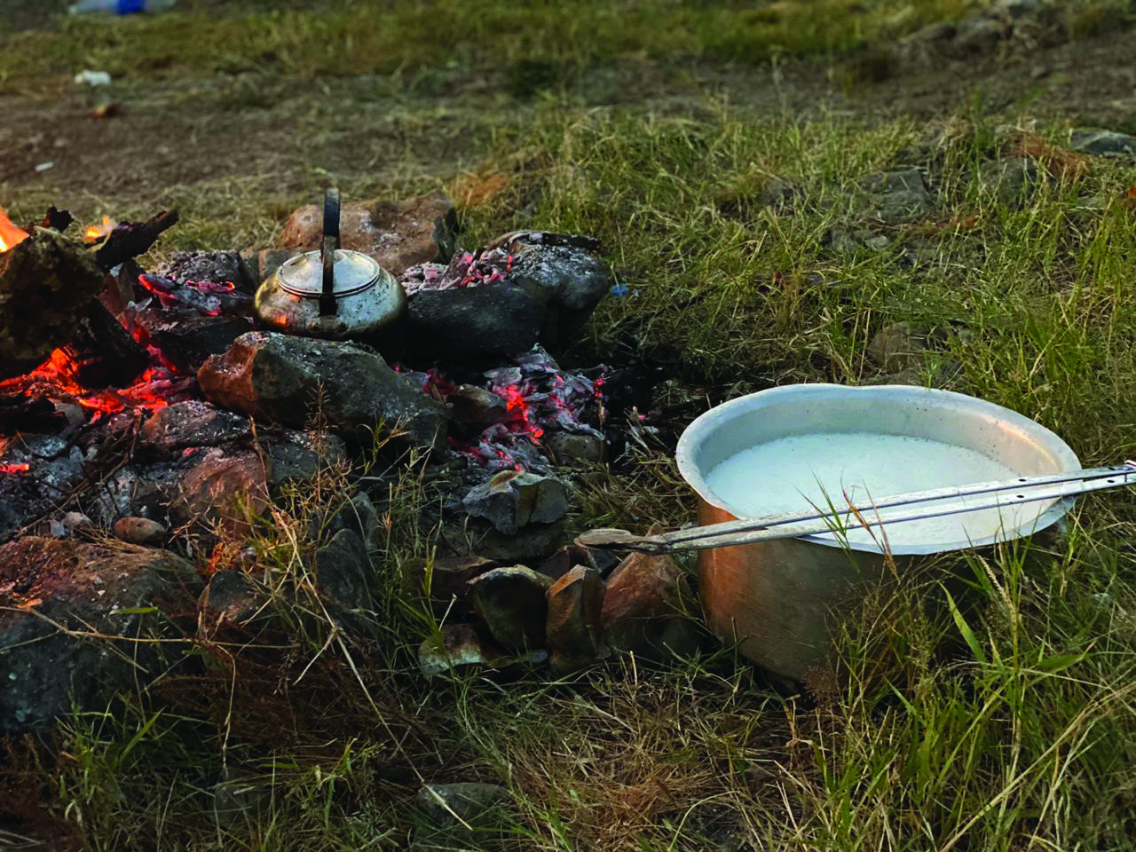 A splendid trip to discover the taste of Dhofari milk - Oman Observer