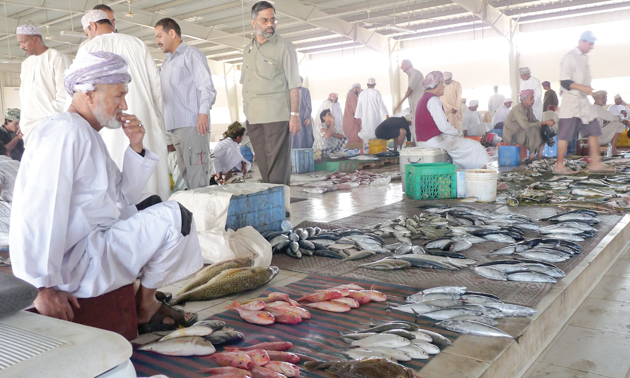Fish landing rises 40.9% till October - Oman Observer