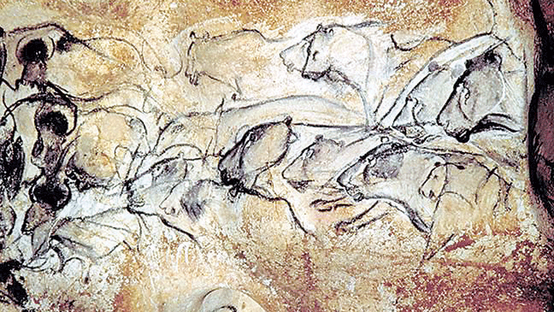 World’s oldest known cave painting found in Indonesia - Oman Observer