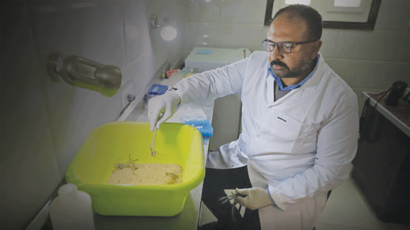 Egypt’s ‘Scorpion King’ turns venom into money - Oman Observer