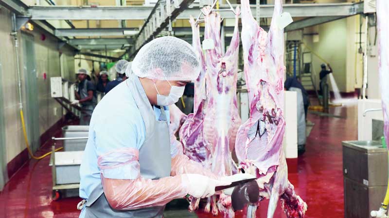 Slaughterhouses to apply pre-order system from Wed - Oman Observer